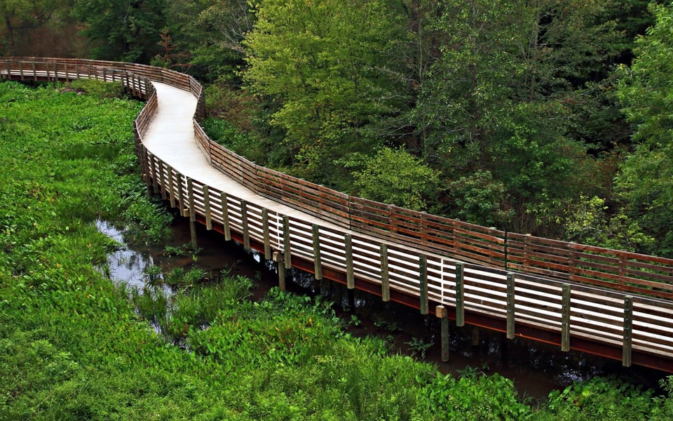 Powder Springs, GA | Neighborhood Guide | Shawn Nixon