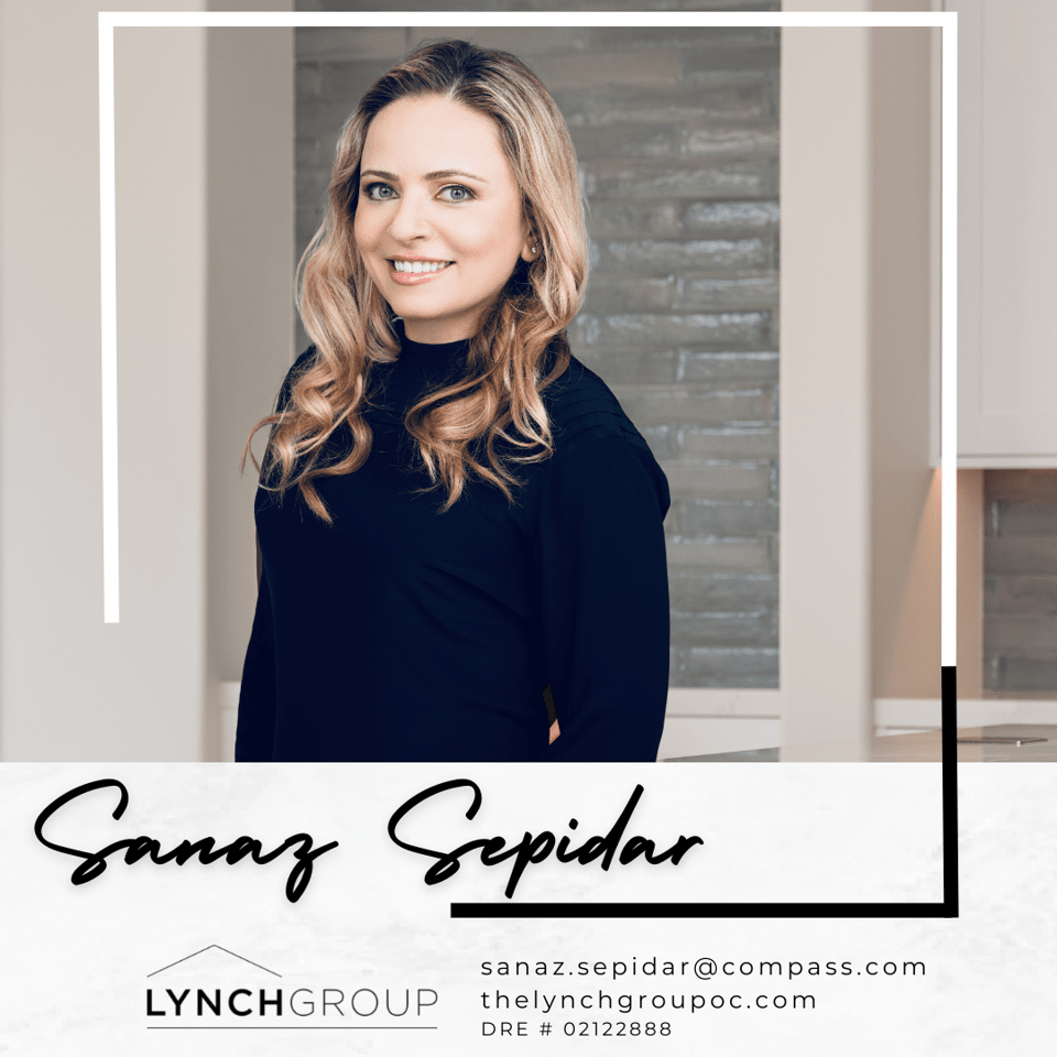 Introducing Sanaz Sepidar | The Lynch Group | Blog