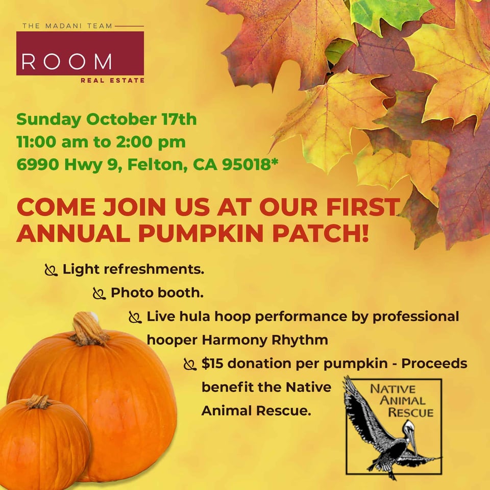 ROOM Pumpkin Patch - Room Real Estate
