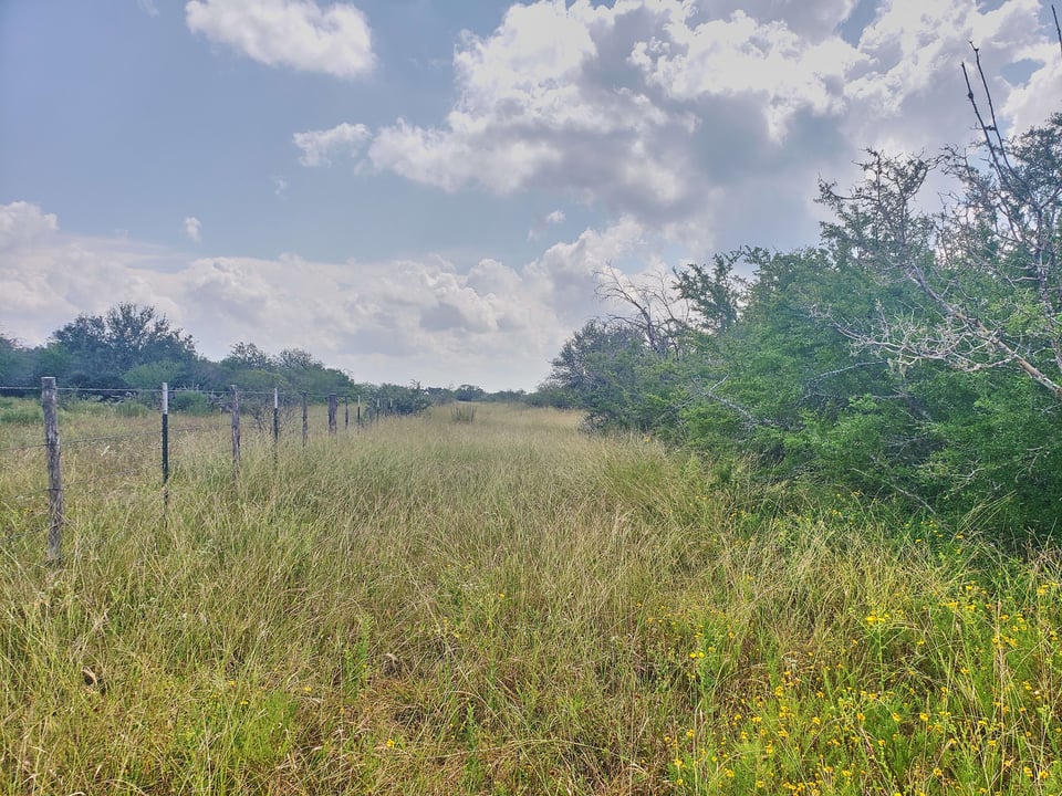 Goliad