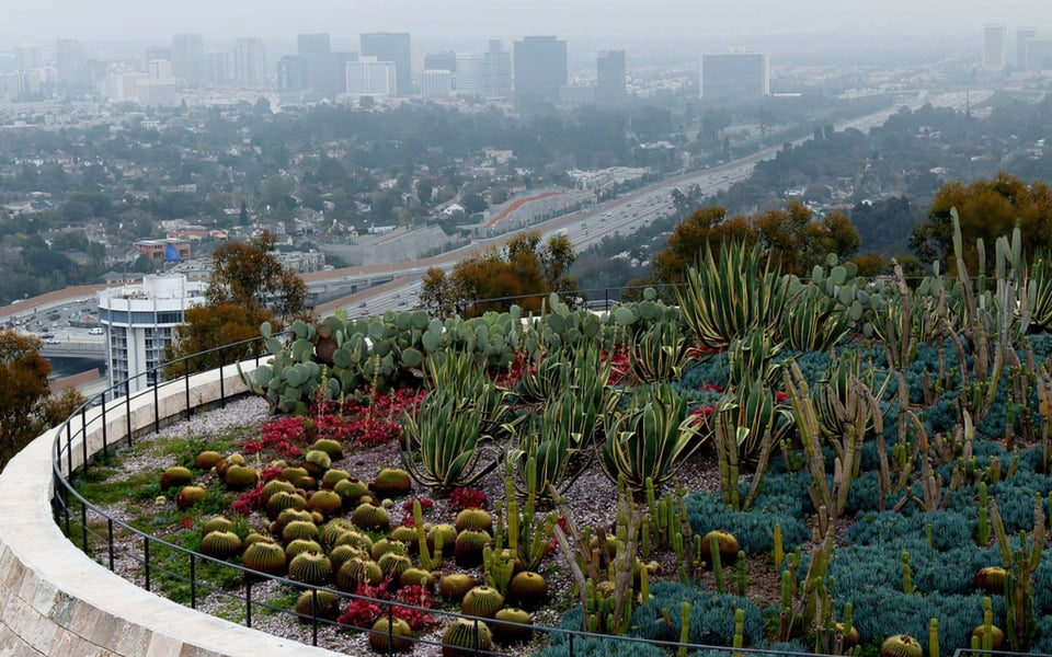 Things to Do in Brentwood, CA | Leonard Rabinowitz