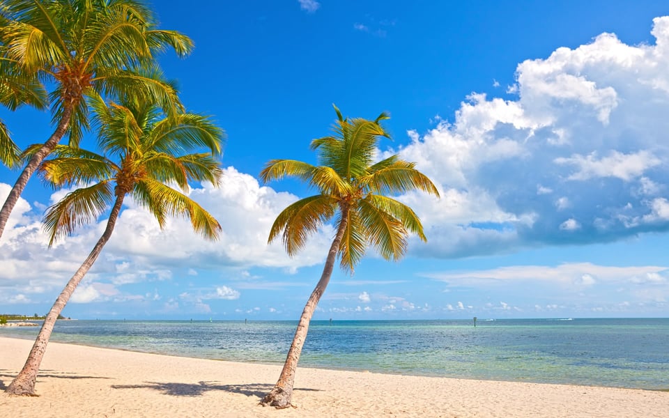 The Castillian Longboat Key Condos Guide | Longboat Key Real Estate Team