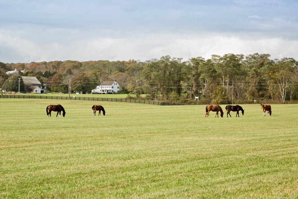 Bridgehampton | Your Ultimate Neighborhood Guide