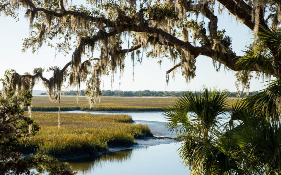 Daniel Island | Neighborhood Guide