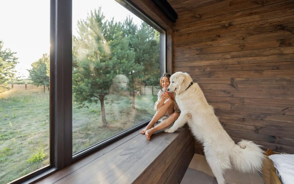 How To Make Your Home More Pet-Friendly | Blog | Margo Allan