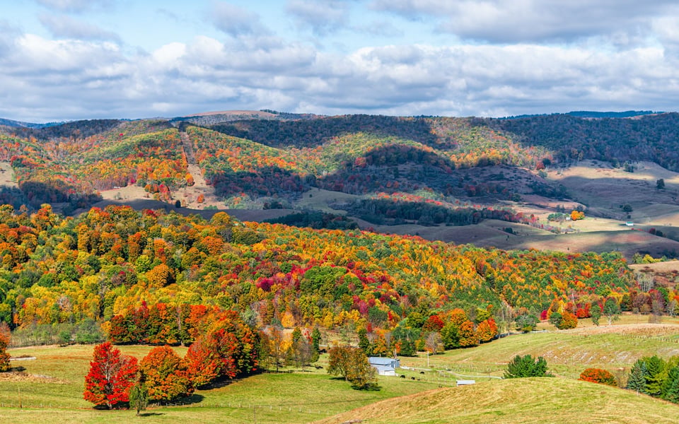 Virginia Highland | Neighborhood Guide | Todd Brunsvold