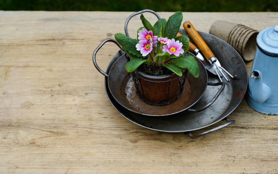 How To Springify Your Home | Blog | Laura Elleby