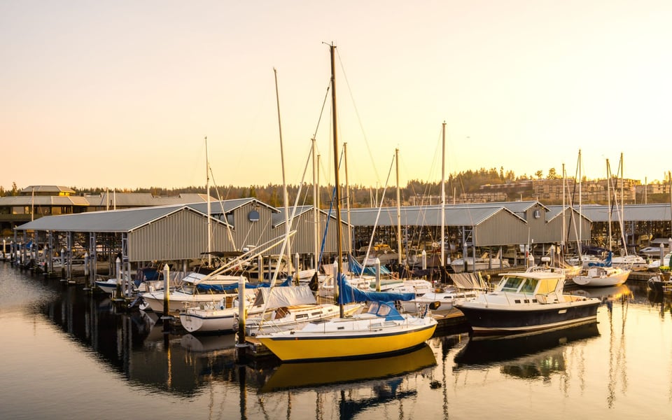 Edgemoor | Neighborhood Guide