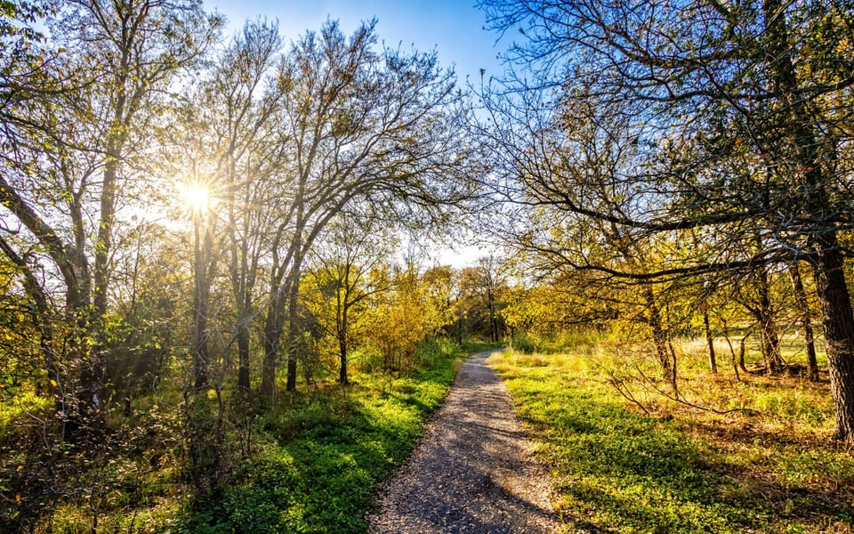 McKinney | Neighborhood Guide