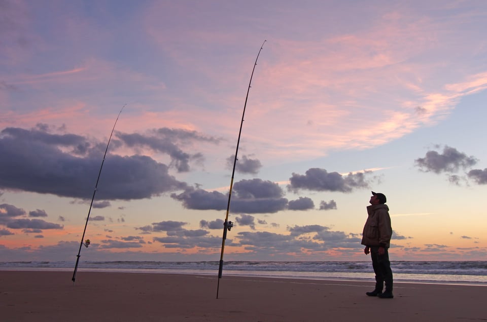 The Best Types of Fish to Catch in The Lowcountry And When they are in ...