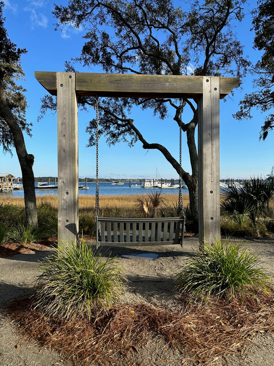 Daniel Island | Neighborhood Guide