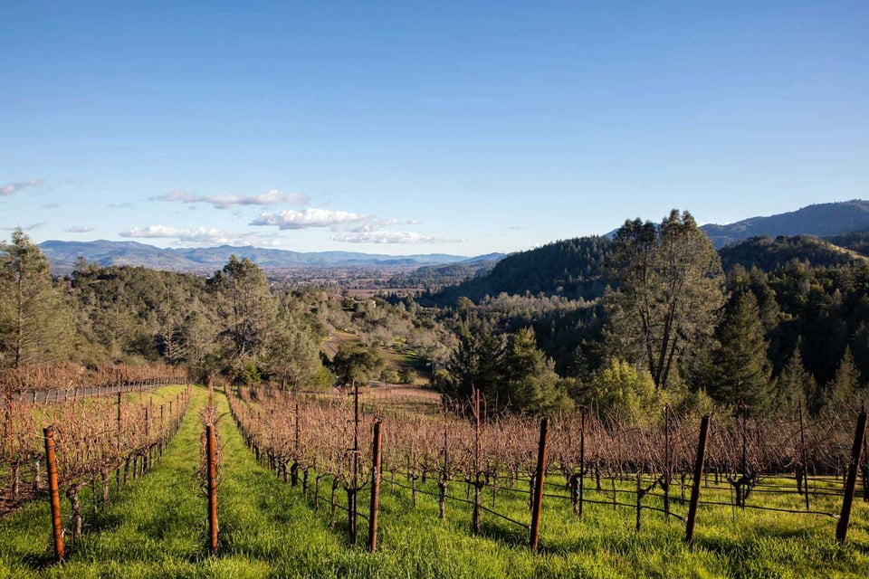 2910 Spring Mountain Rd