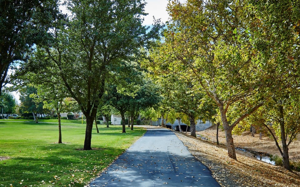 A Guide to Brentwood Parks| Leonard Rabinowitz
