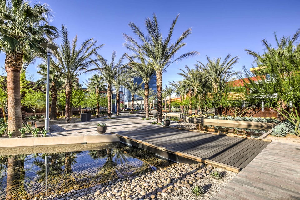 Summerlin Neighborhood Guide | Local Living Real Estate