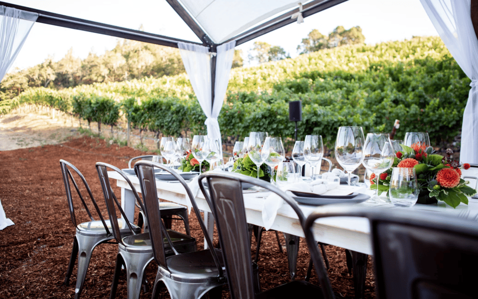 Things You Might Not Know About Napa Valley | Blog | Napa Real Estate