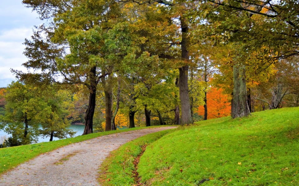 Newton Corner | Neighborhood Guide