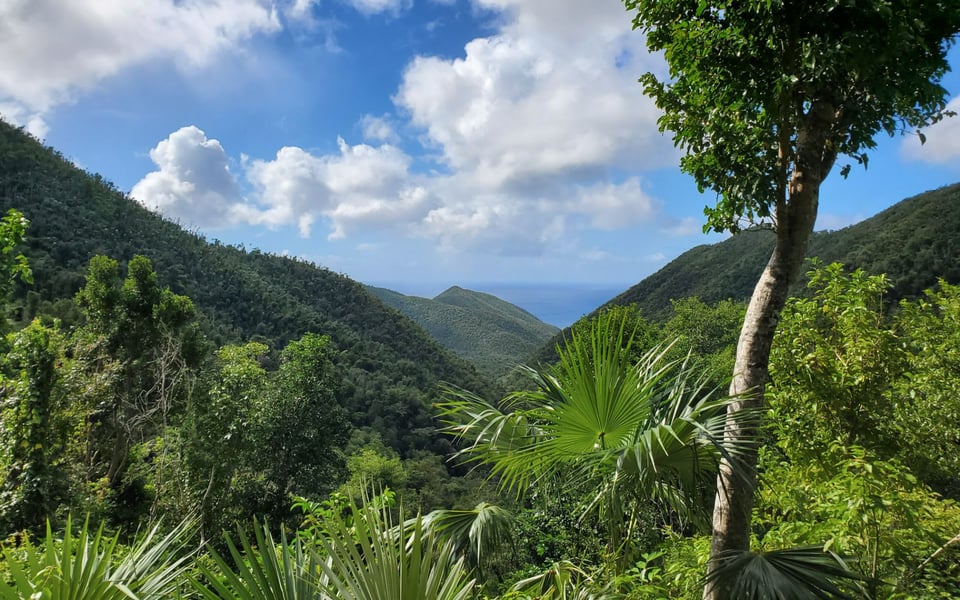 Reef Bay | Neighborhood Guide