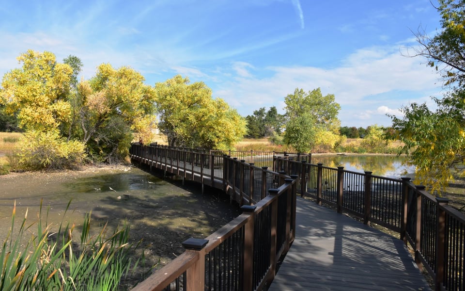 Lakewood Real Estate – Discover Luxury Lakeside Living