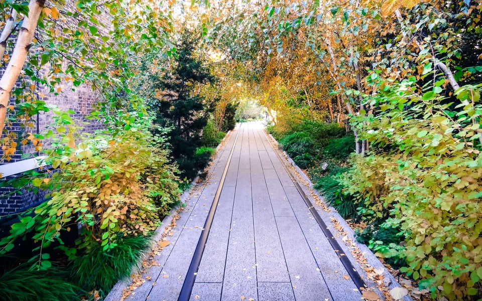 Chelsea & Hudson | Community Guide | Philip Tabor