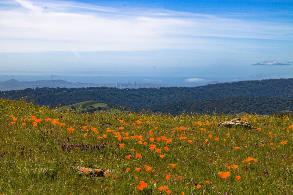 April Activities in The Bay | The Anthony Riggins Team