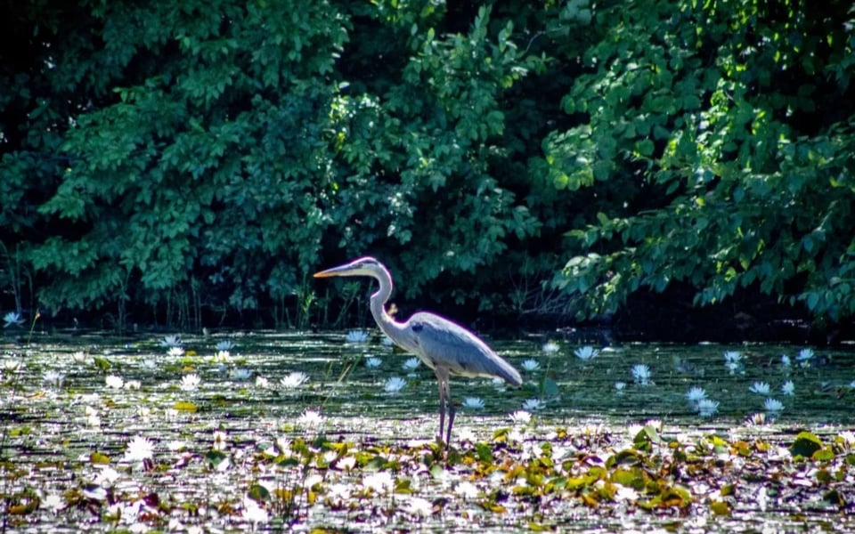 Middlesex Fells Reservation Stoneham MA – Explore Boston