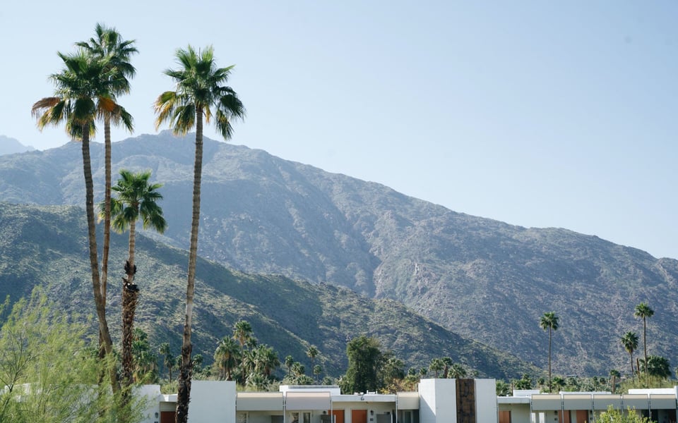 Los Gatos | Neighborhood Guide