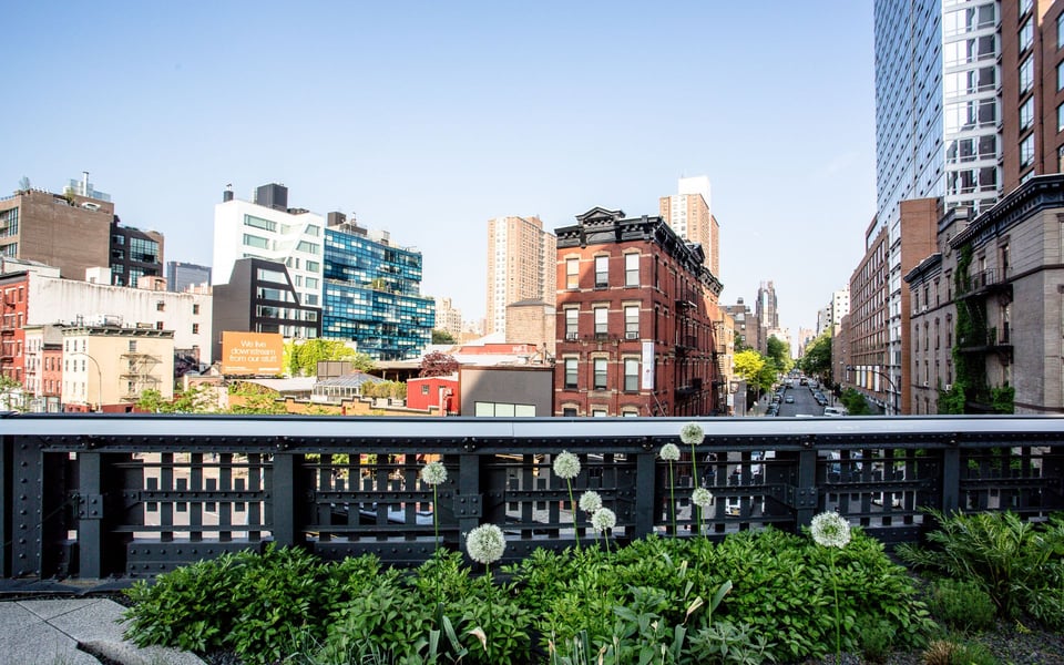 Crown Heights | Neighborhood Guide