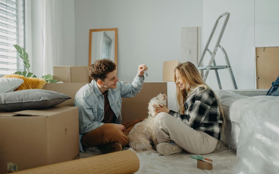 Smooth Moves: Pro Tips for Moving with Your Furry Friends | Blog ...