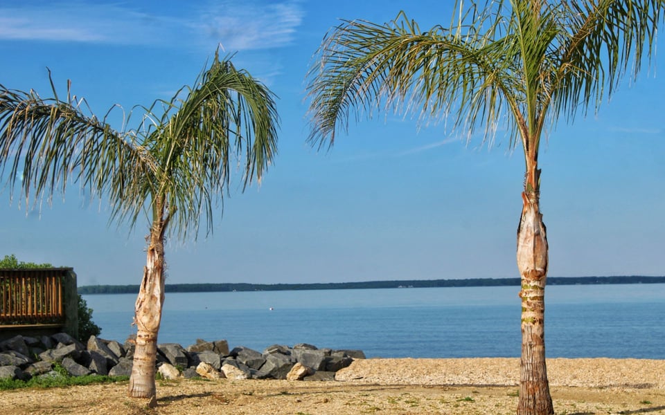 Bay Colony | Neighborhood Guide | Madison Mason