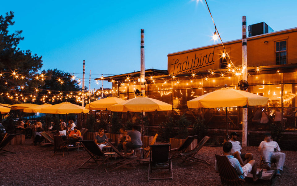Pet-Friendly Restaurants in Atlanta | Blog | Kelly Boudreau