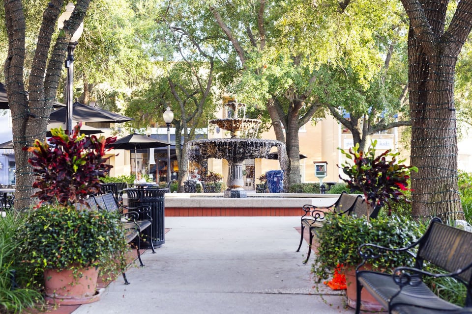 Hyde Park | Kelly Burchill's Neighborhood Guide