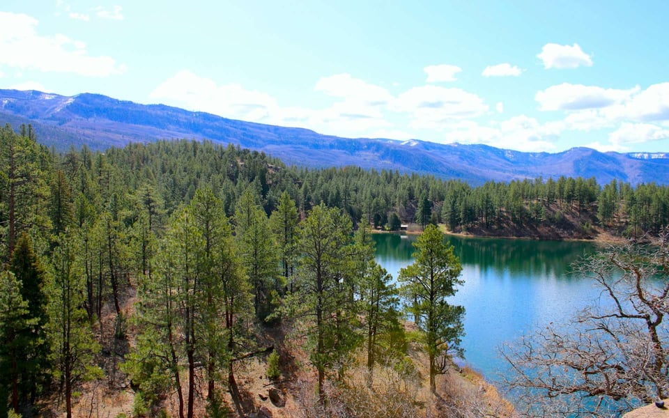 HOW TO CHOOSE THE RIGHT REAL ESTATE AGENT | Rachel Sadler | Move Me to ...