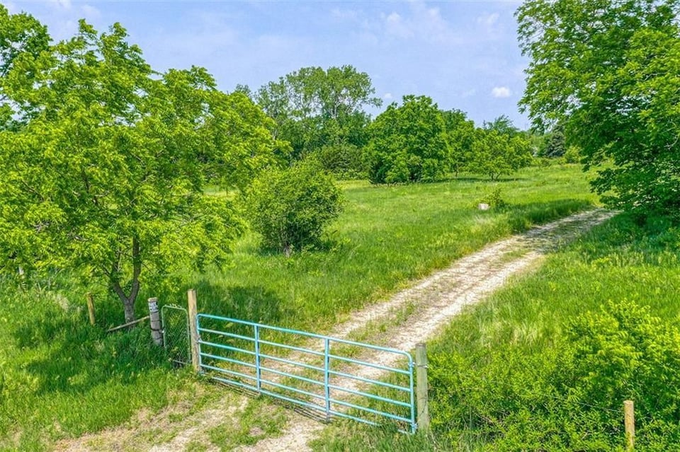 Spring Hill | Neighborhood Guide