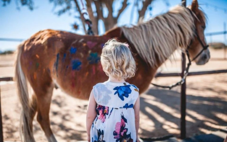Reigning Grace Ranch: A Story of Redemption | Blog | The Sonoran ...