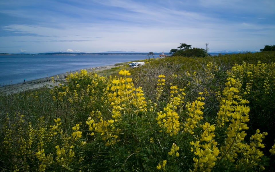 Camano Island WA Real Estate – Neighborhood Guide