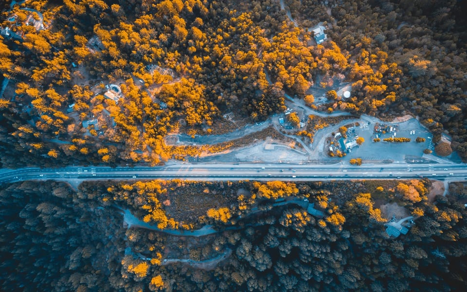 Exploring The Rich Heritage and History of Los Gatos | Blog | Mark Vantress