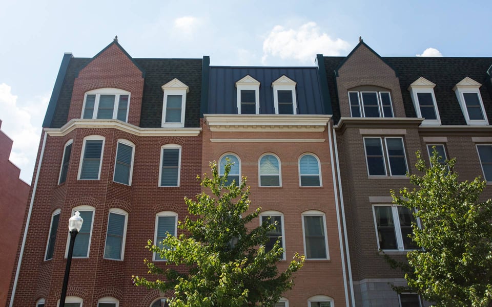 Alexandria | Community Guide | Andrew Turczyn