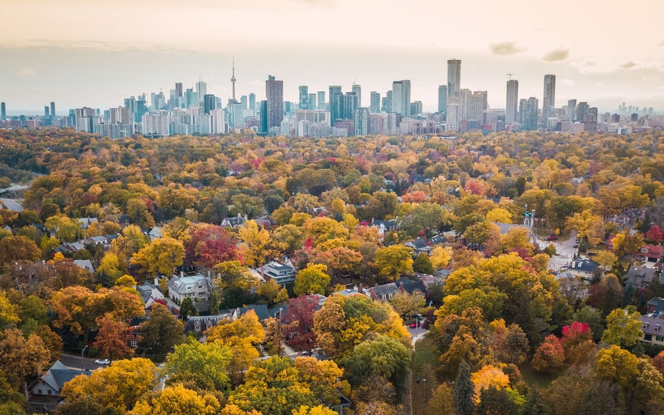 Rosedale | Neighbourhood Guide | The Starke Group