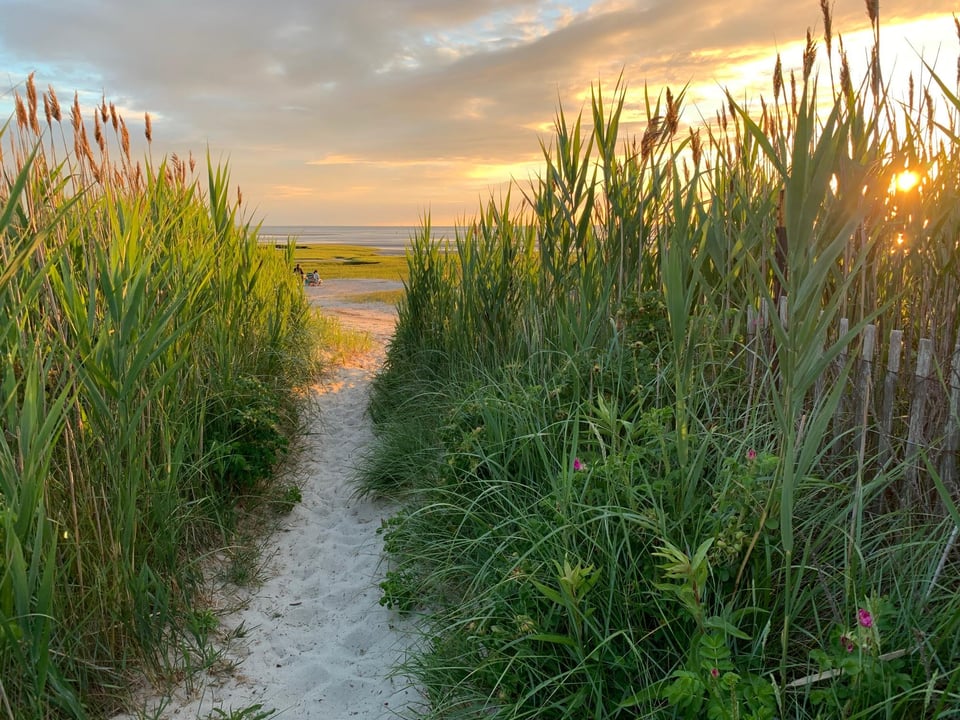 Cape Cod Market Update | The Jorie Fleming Group