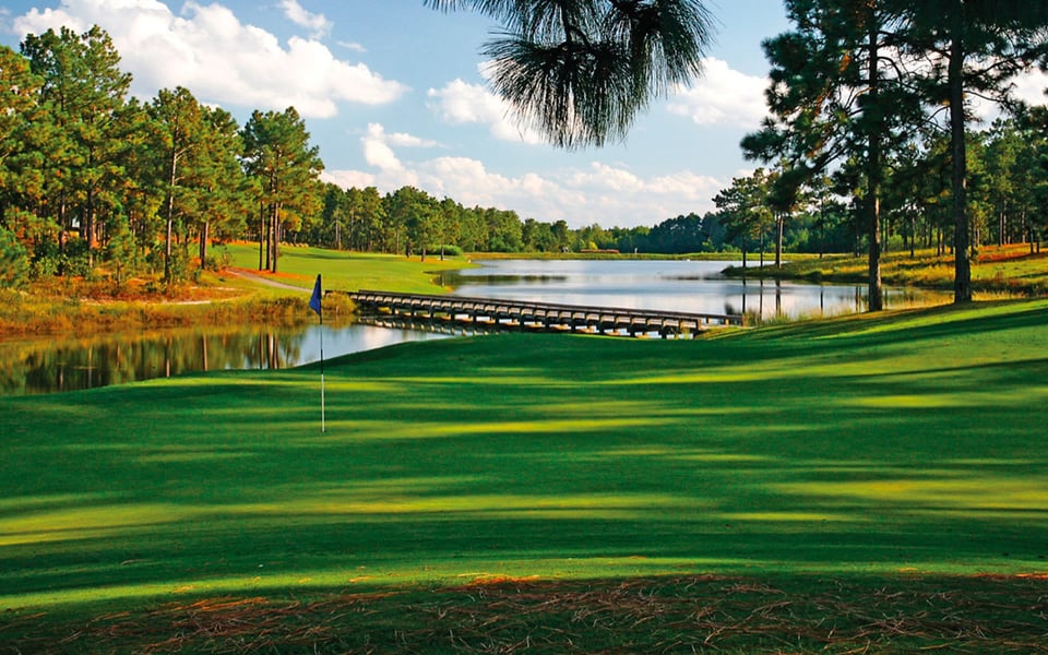 10 Things to Know About Moving to NC | Blog | Jamie McDevitt