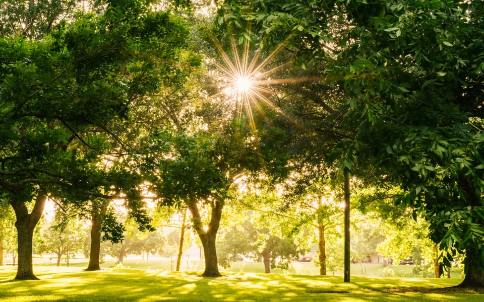 A Guide to Newton, MA Parks | Blog | Ingvild Brown