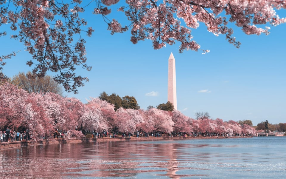 Things You Might Not Know About Washington, DC & Hidden Gems