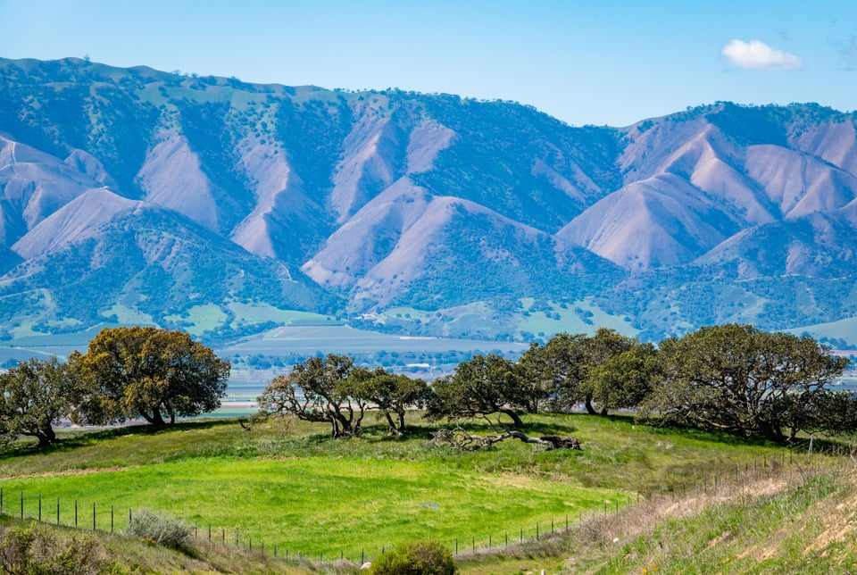 Foothill Ranch, CA | Neighborhood Guide | Molly Walsh