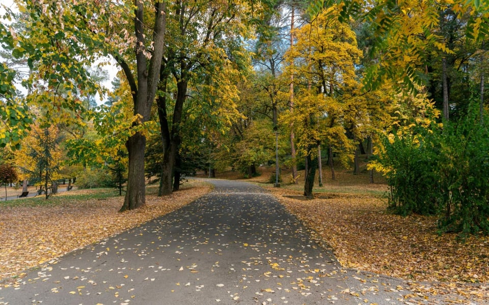 A Guide to Hampstead, NC Parks | Savannah Holman