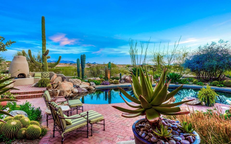 Gambel Quail Preserve | Neighborhood Guide | Power+