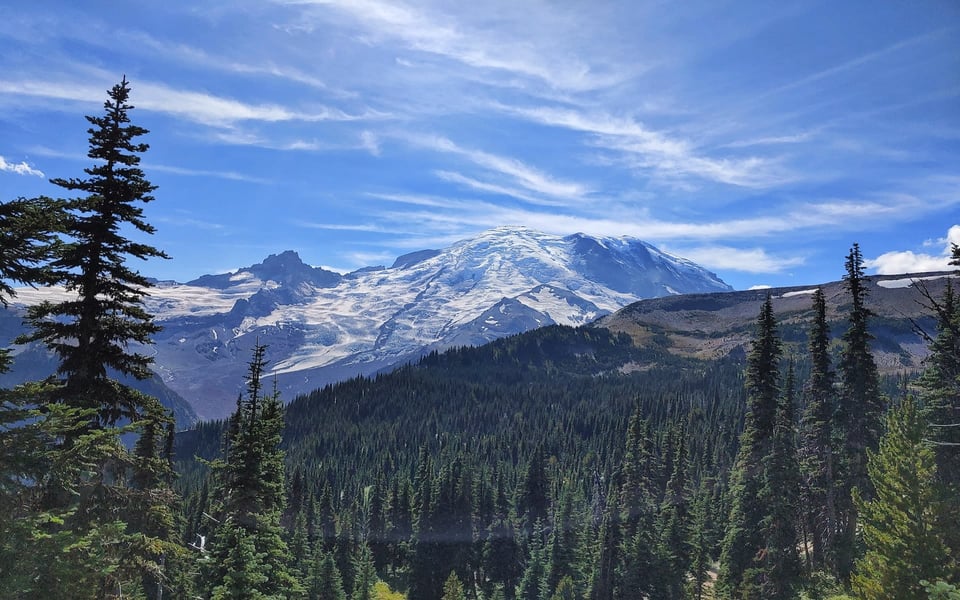 Explore Southeast Seattle Real Estate – Your Dream Home Awaits