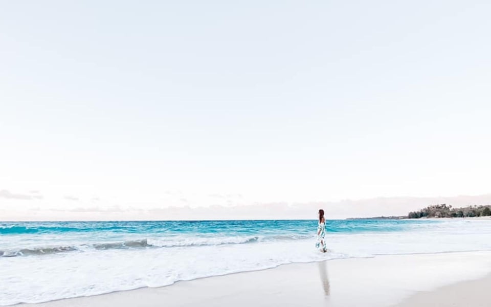 Oceanfront on Diamond Head’s Gold Coast | Blog | Elisa Lipton