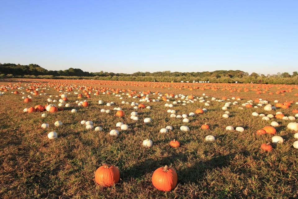 3rd Quarter 2022 Market Report | Kelly Zaccaro | Monmouth County NJ ...