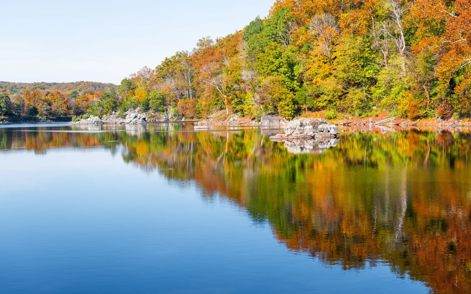 Potomac | Neighborhood Guide | Michael Heinen | Michael Heinen