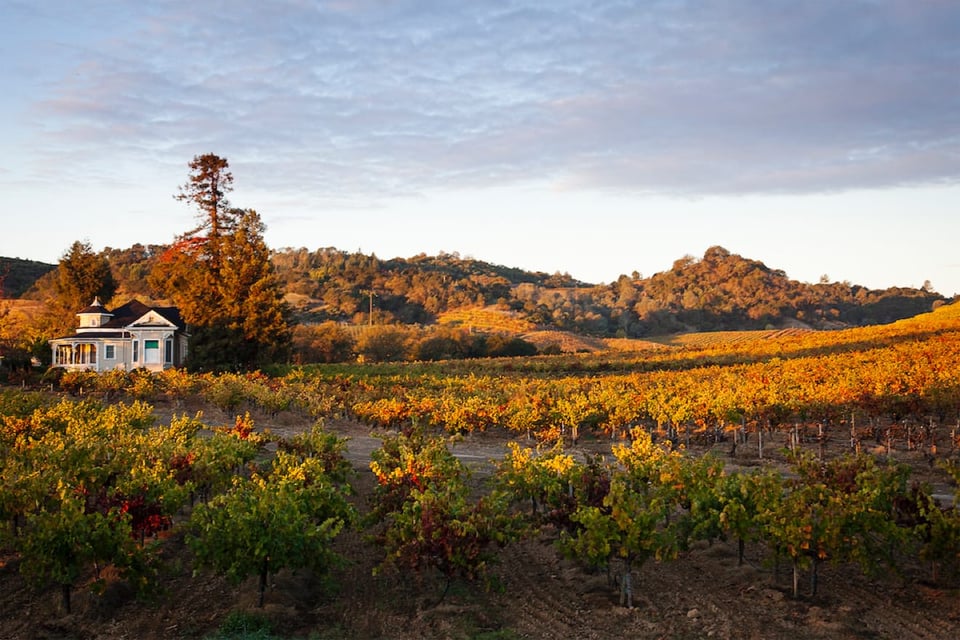 Sonoma Fall - Sonoma County | Excellerate Real Estate